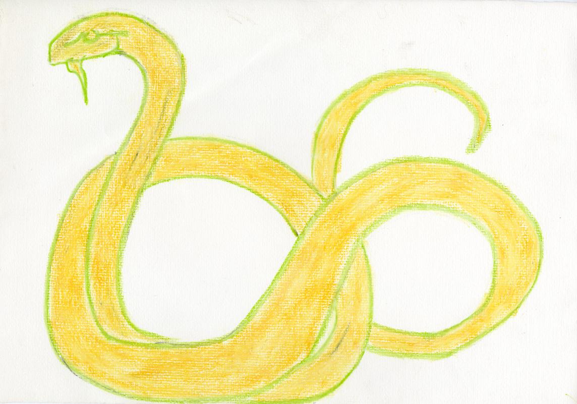 Coil Snake - CCS Bard