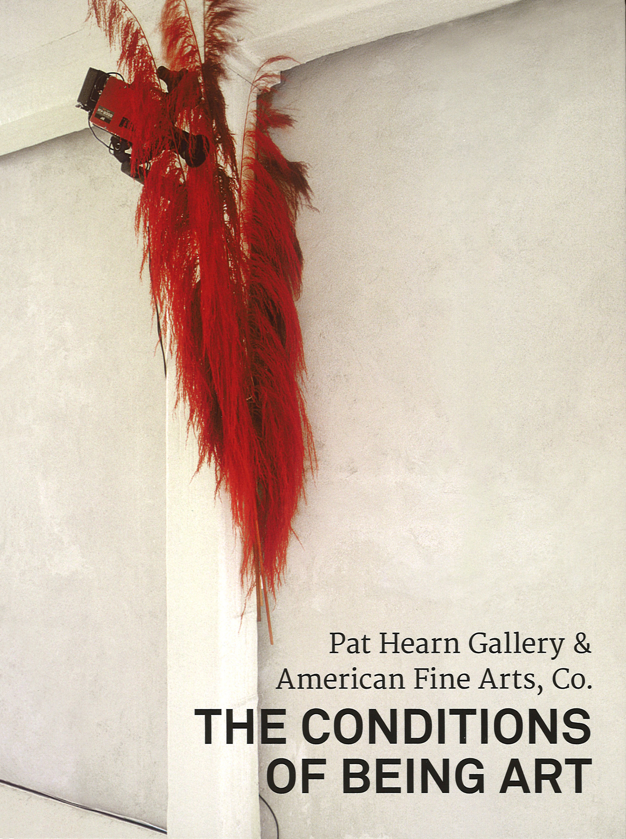 The Conditions of Being Art: Pat Hearn Gallery & American Fine Arts, Co ...