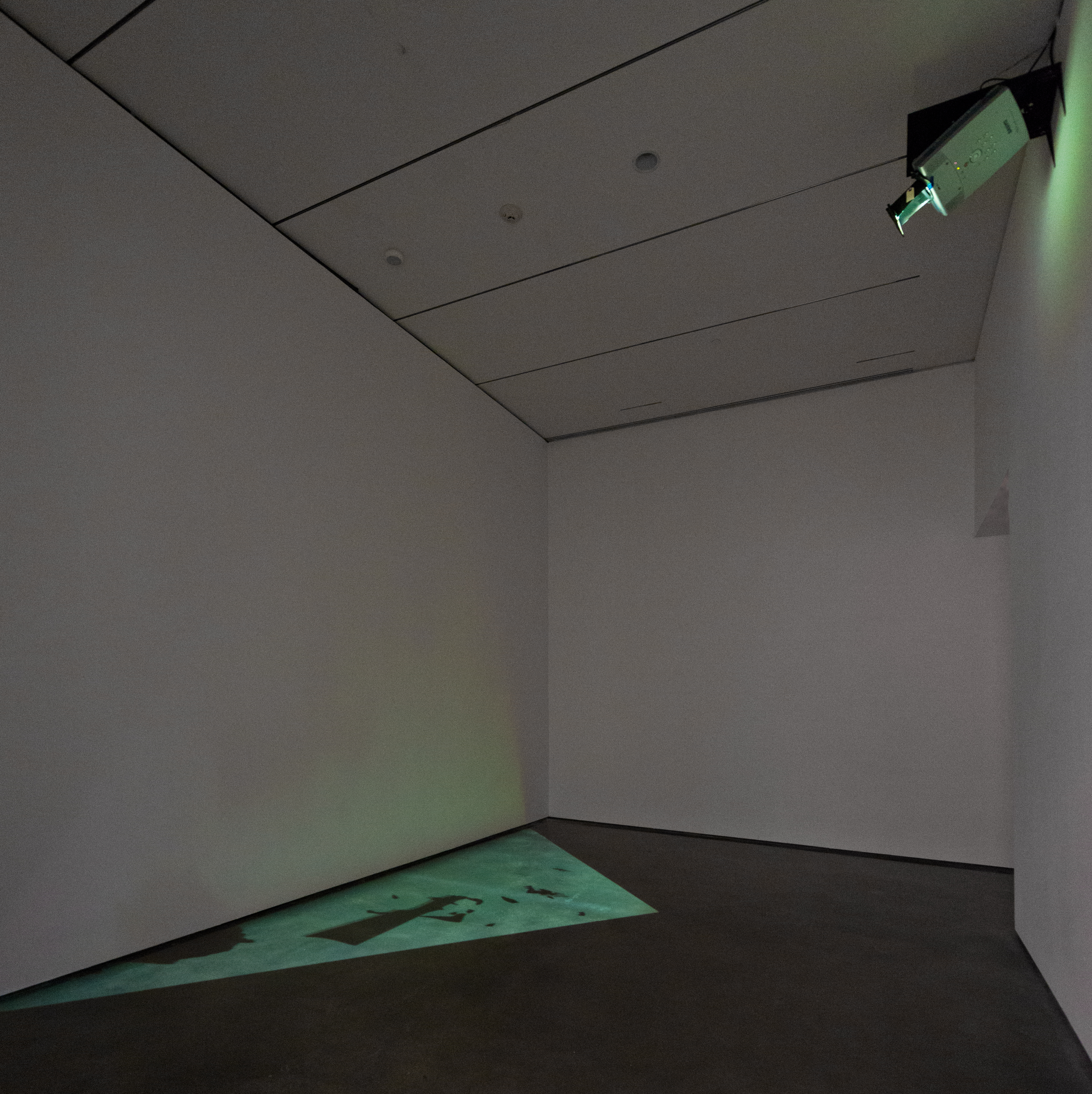 5th Light - CCS Bard